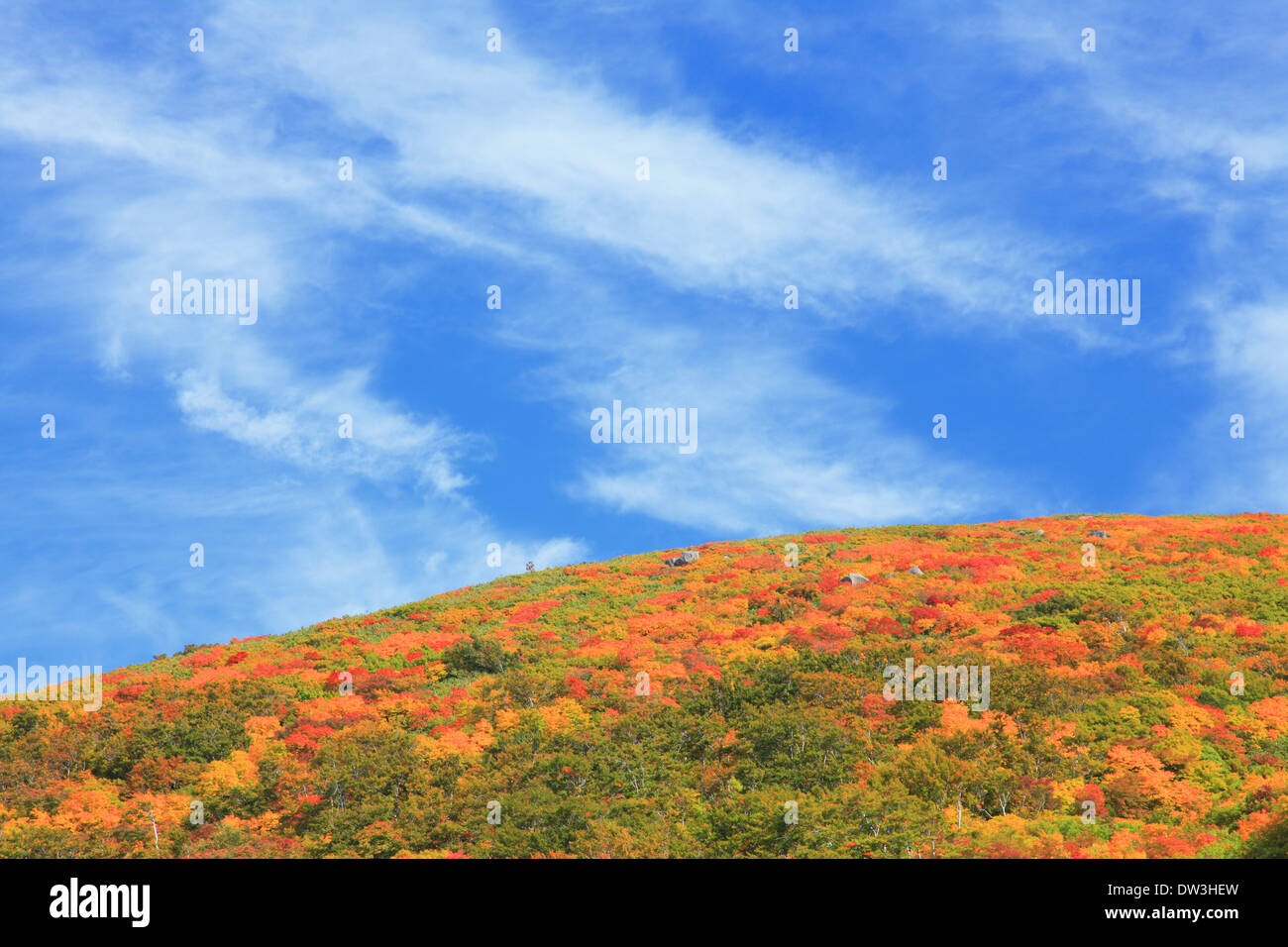 Chokai hi-res stock photography and images - Alamy
