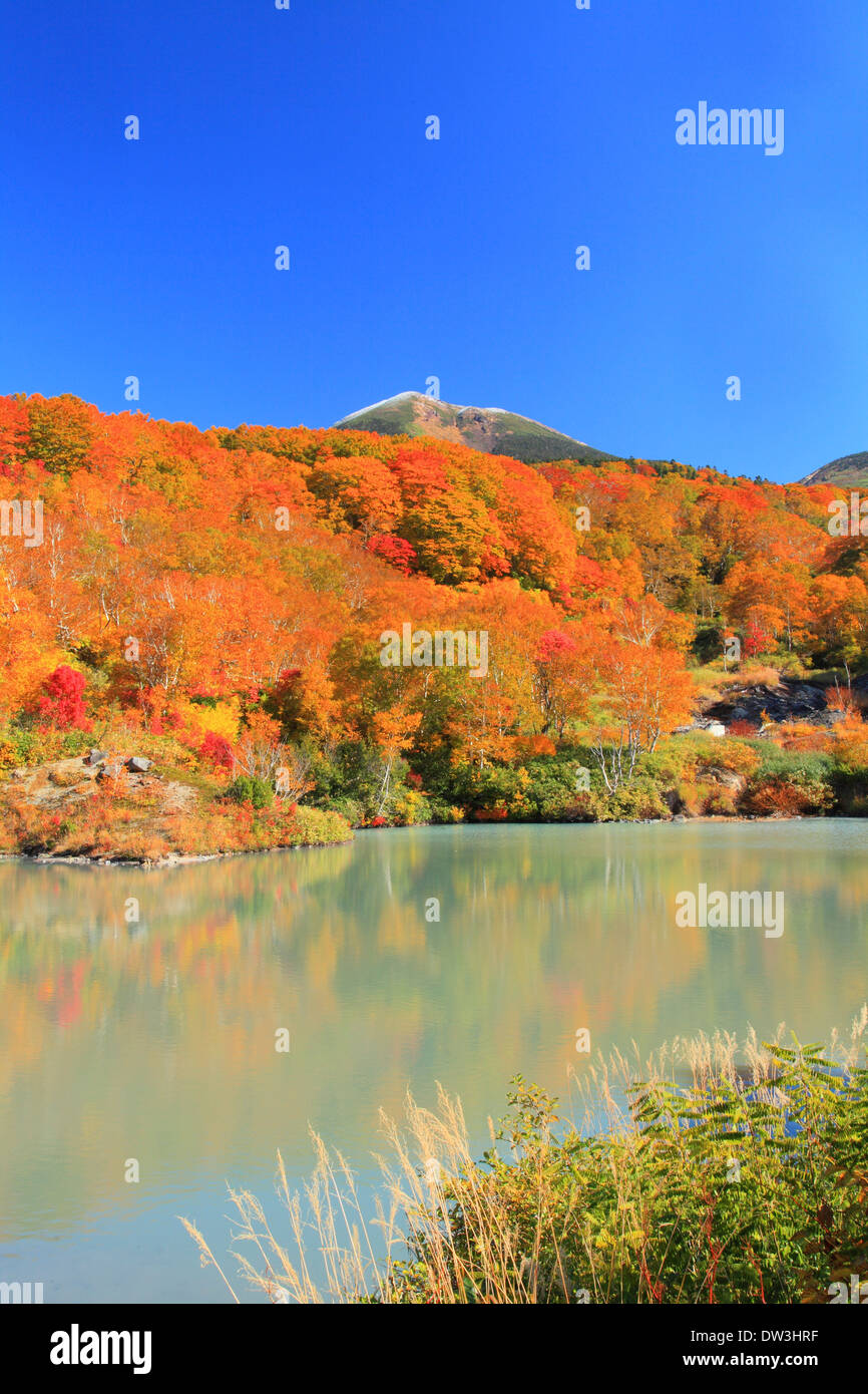 Jigoku Swamp, Aomori Prefecture Stock Photo - Alamy