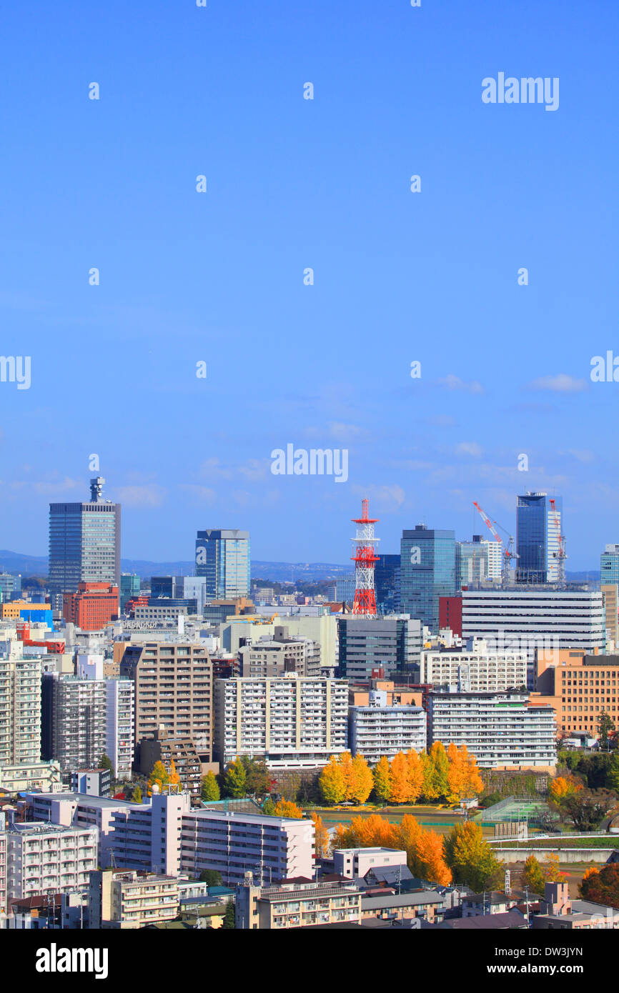 Sendai castle ruins hi-res stock photography and images - Alamy