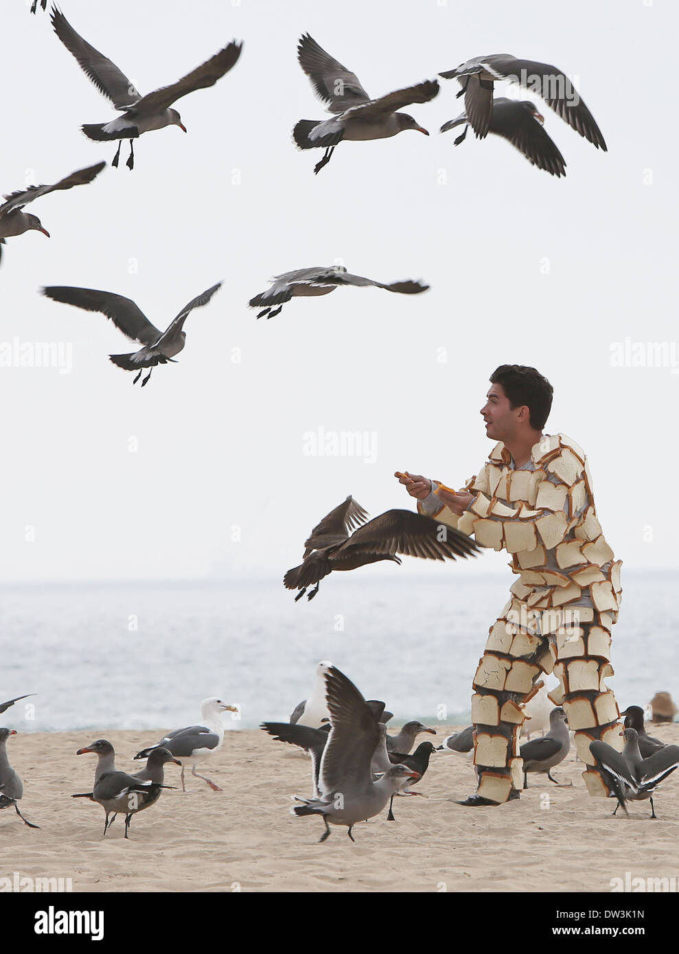 A man wears a suit made from bread in a bid to attract flocks of ...
