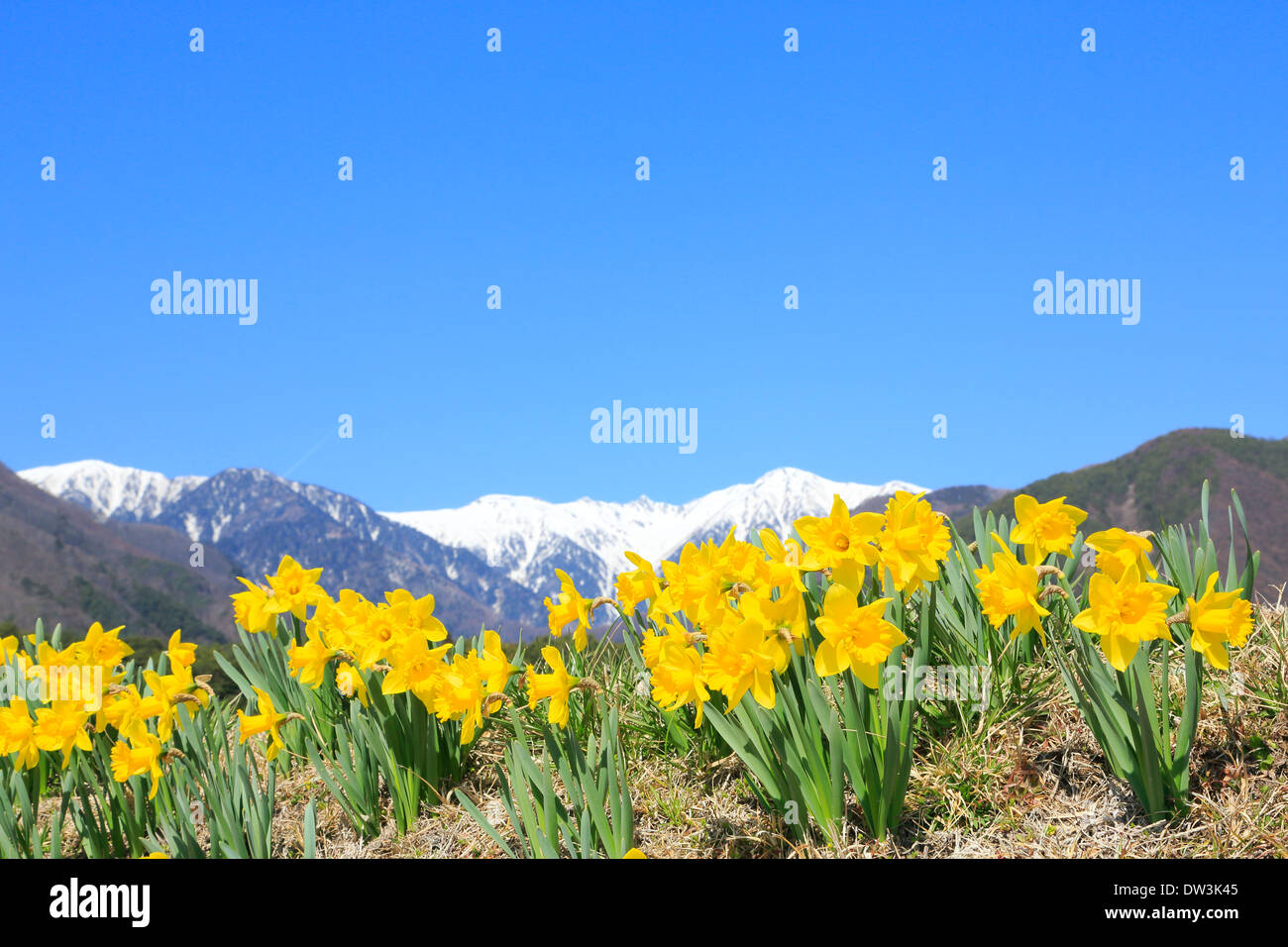 Central alps japan hi-res stock photography and images - Alamy