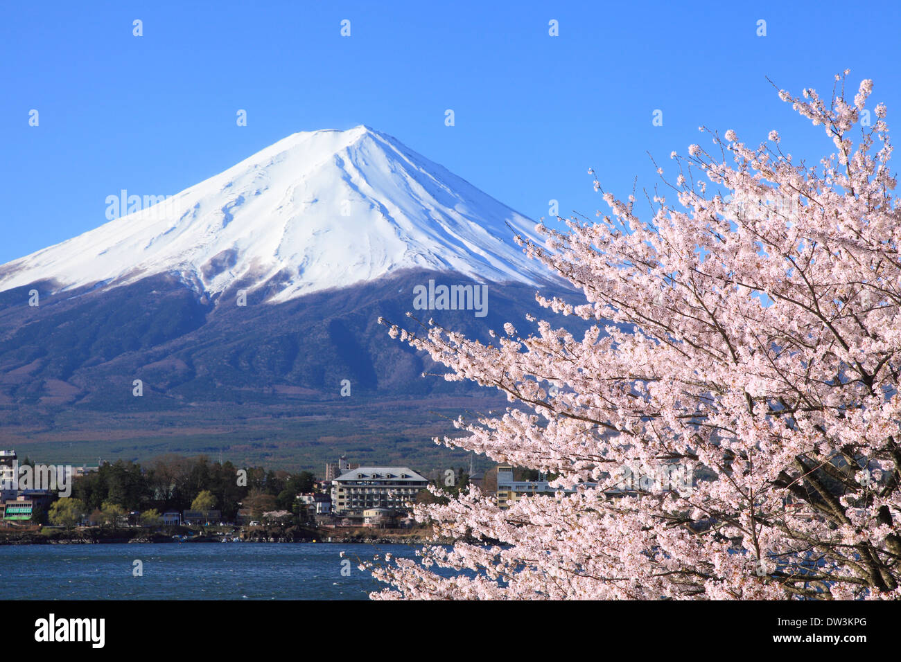 View of Mount Fuji Stock Photo - Alamy