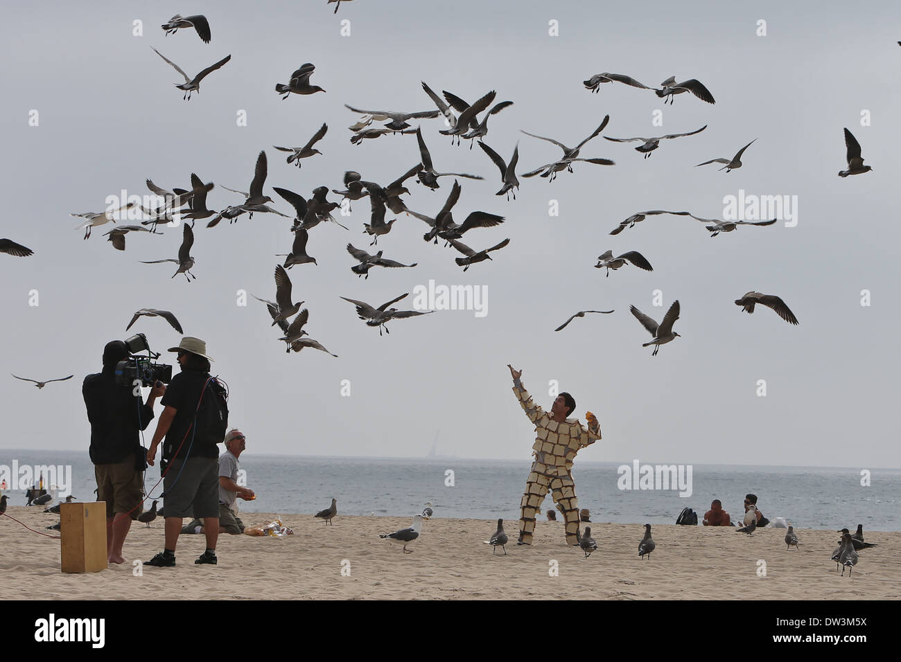 A man wears a suit made from bread in a bid to attract flocks of ...