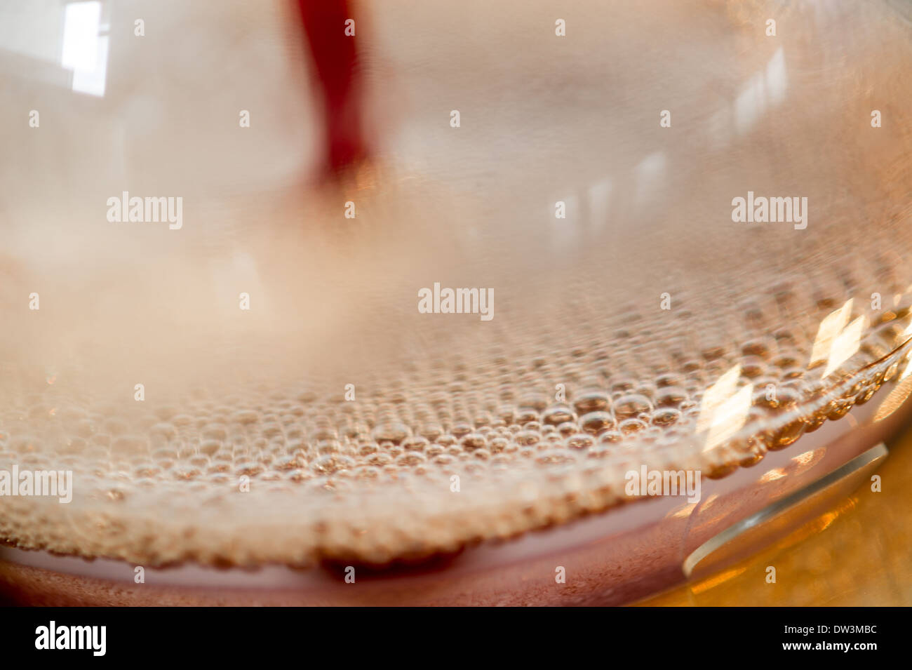 BACTERIA PRODUCES PURE GOLD Researchers at Michigan State University ...