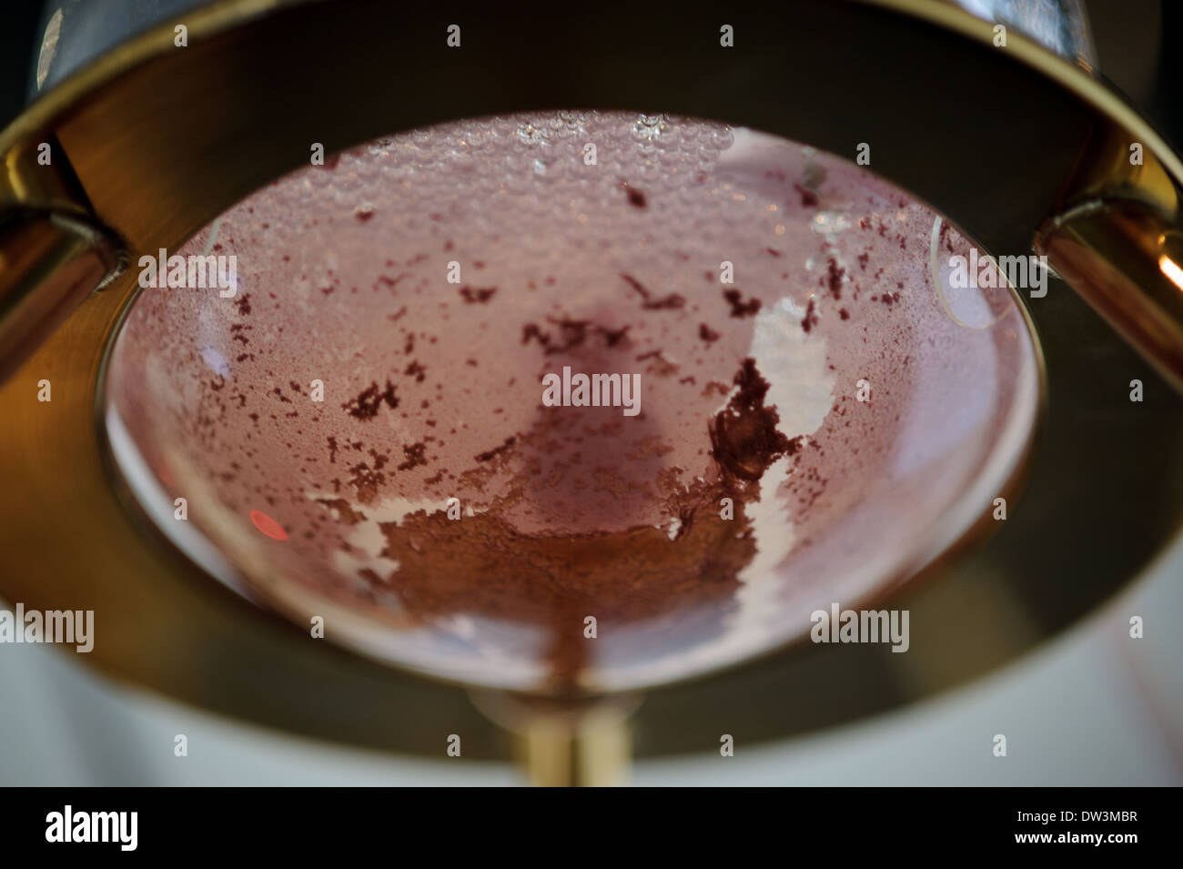 BACTERIA PRODUCES PURE GOLD Researchers at Michigan State University ...