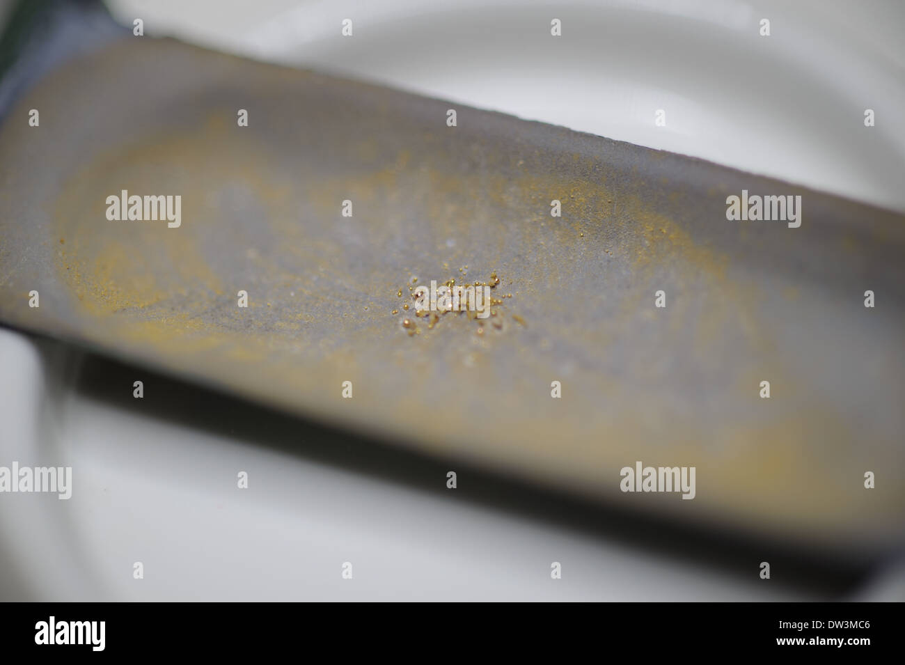 BACTERIA PRODUCES PURE GOLD Researchers at Michigan State University ...