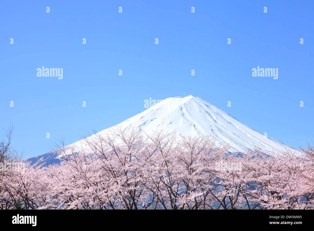 View of Mount Fuji Stock Photo - Alamy