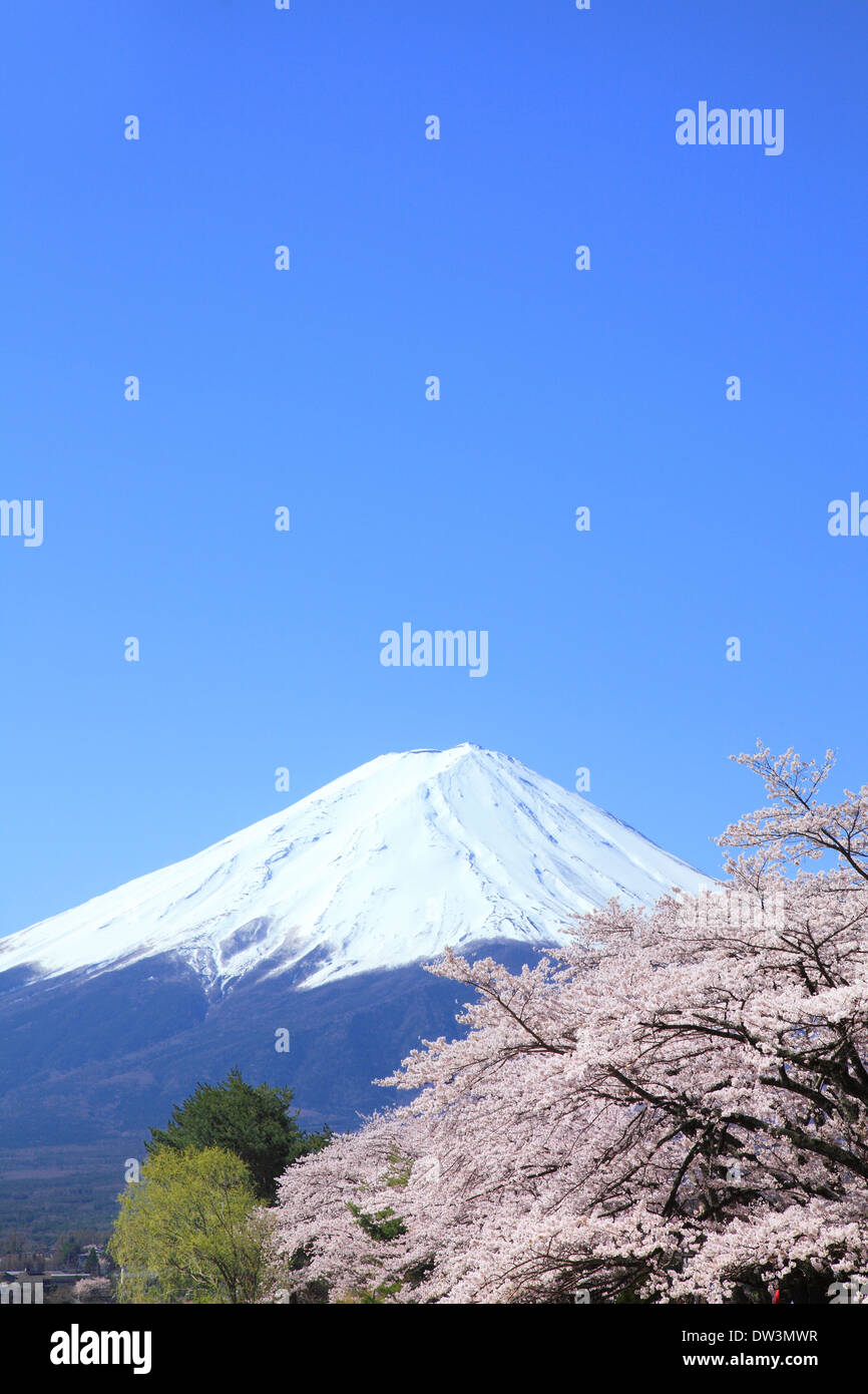 Hakone national park flowers hi-res stock photography and images - Alamy