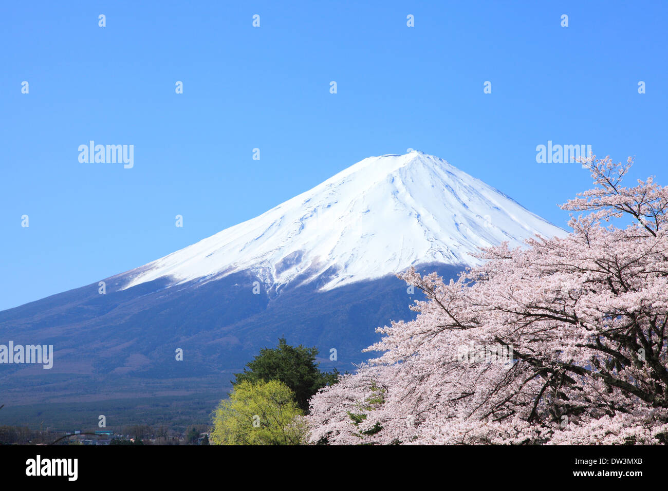 View of Mount Fuji Stock Photo - Alamy