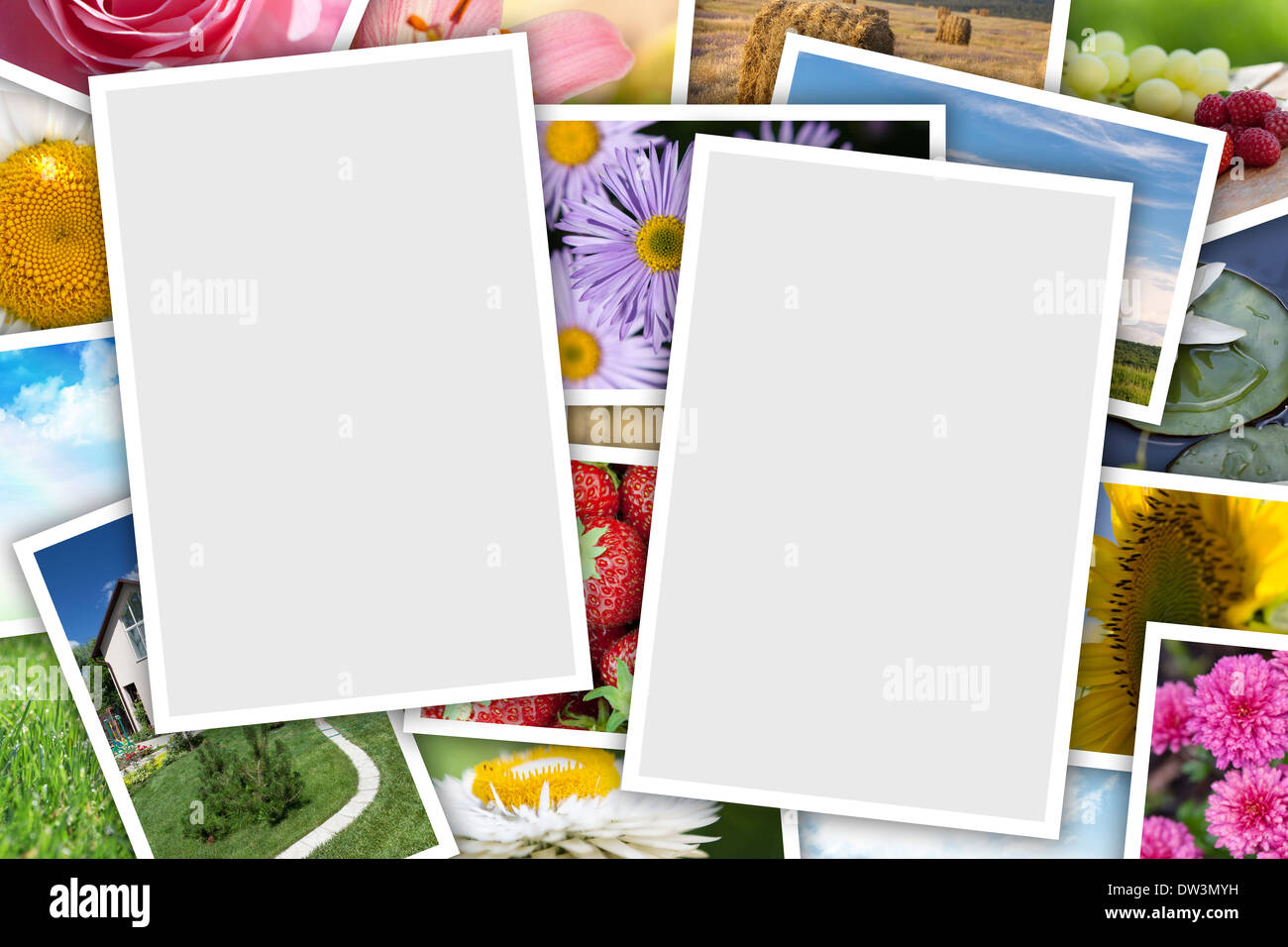 Collage Many Nature Photos High Resolution Stock Photography and Images ...