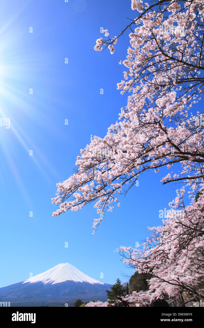View of Mount Fuji Stock Photo - Alamy