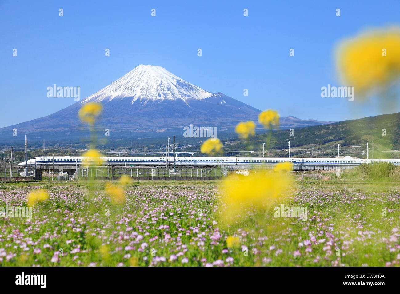 Fujisan view express train hi-res stock photography and images - Alamy