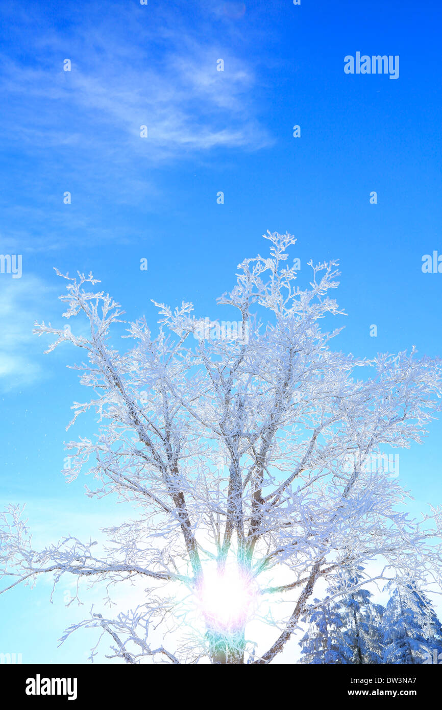 Image Soft Rime High Resolution Stock Photography and Images - Alamy