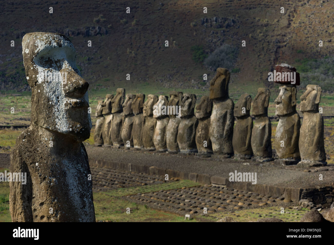 Moai at Ahu Tongariki, Rapa Nui (Easter Island), Chile Stock Photo - Alamy