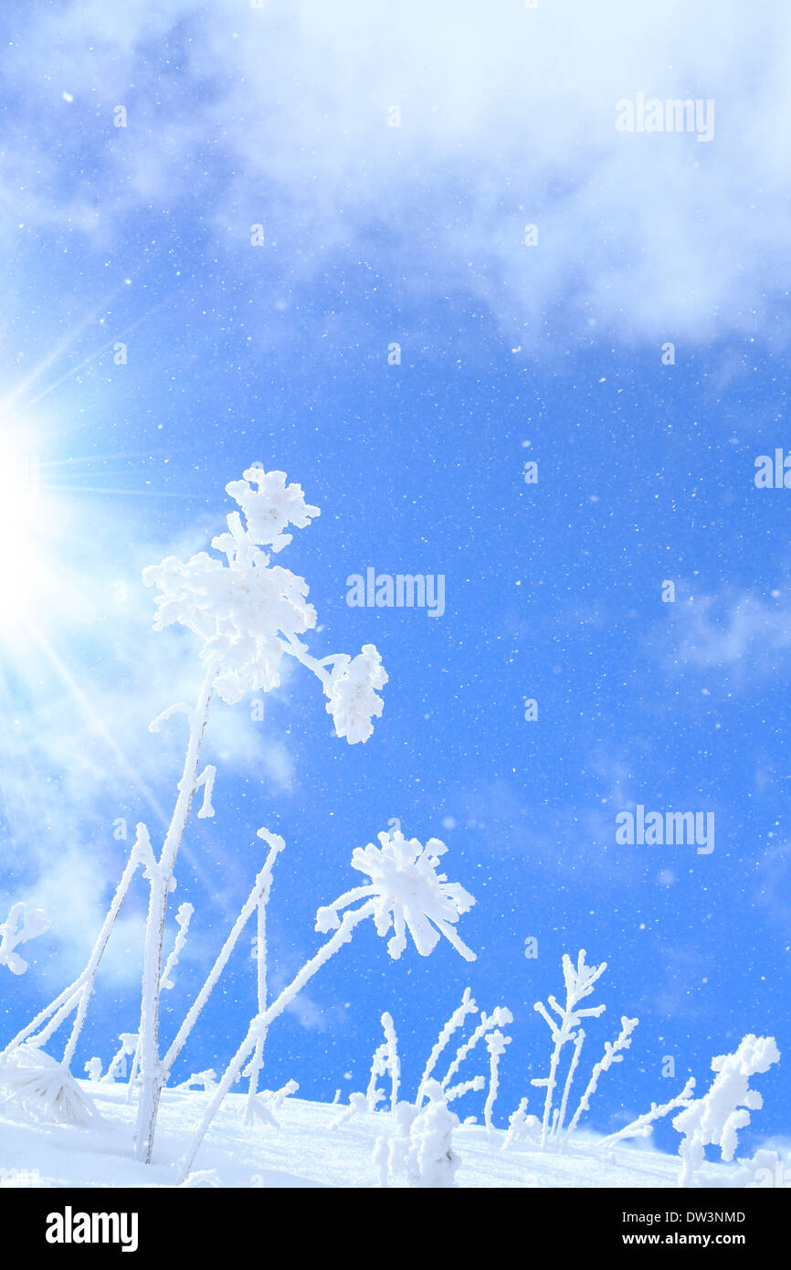 Diamond dust weather hi-res stock photography and images - Alamy