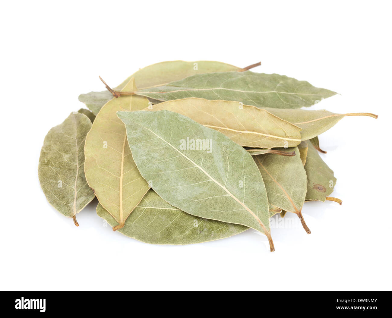 Aromatic bay leaves. Isolated on white background Stock Photo - Alamy