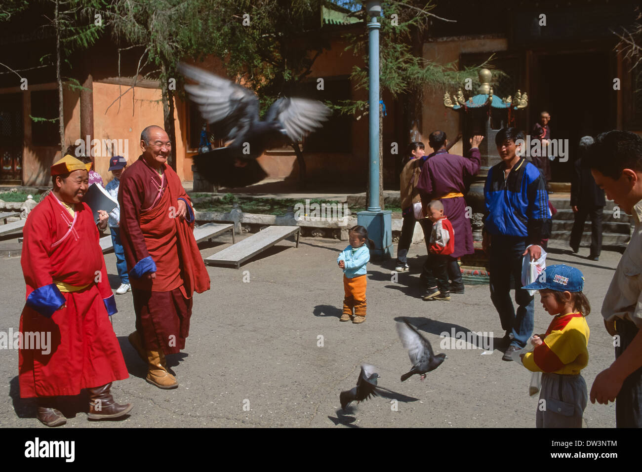 Buddhist monks walking through flying pigeons at the Gandan ...