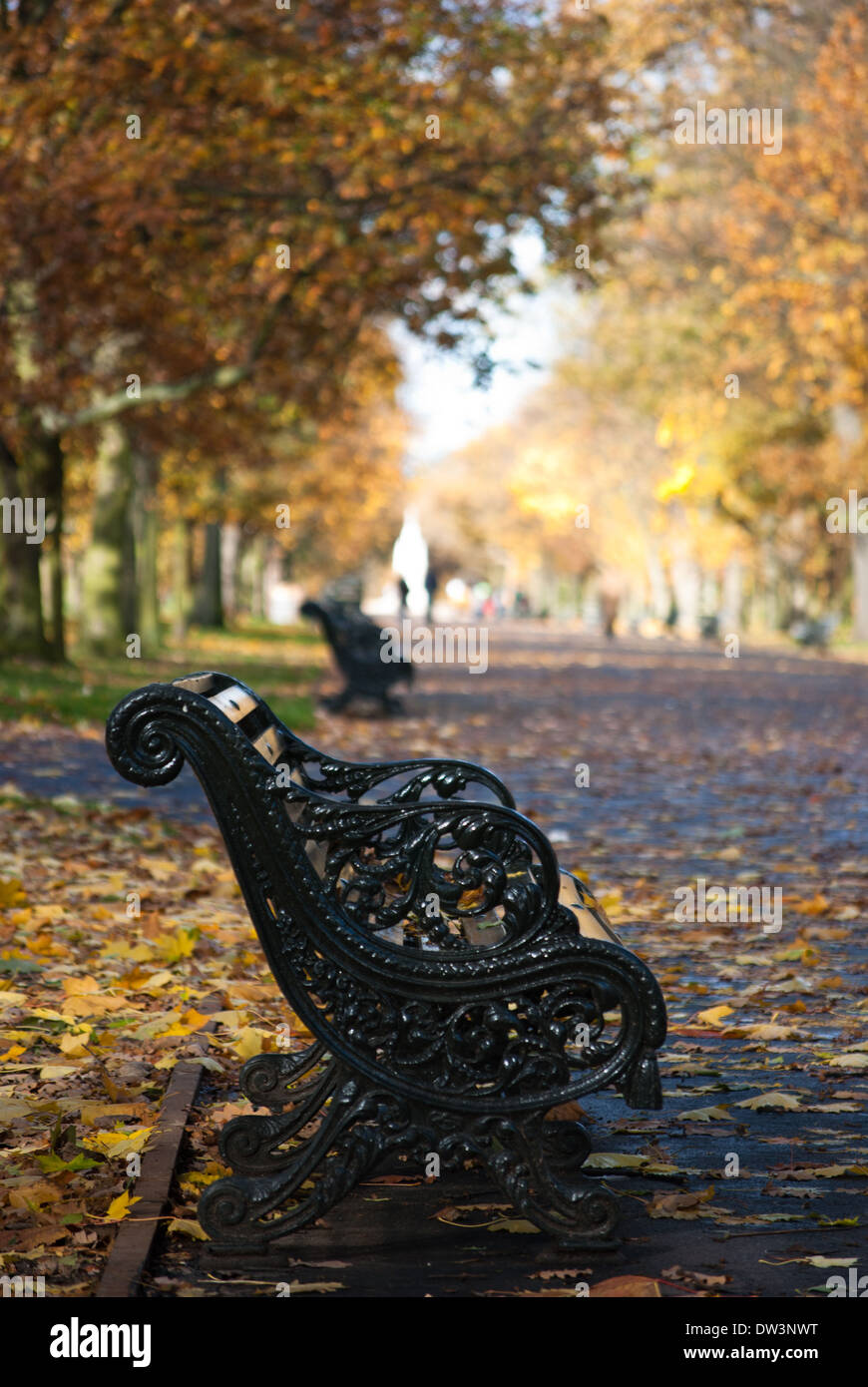 Bench in park in London Stock Photo - Alamy