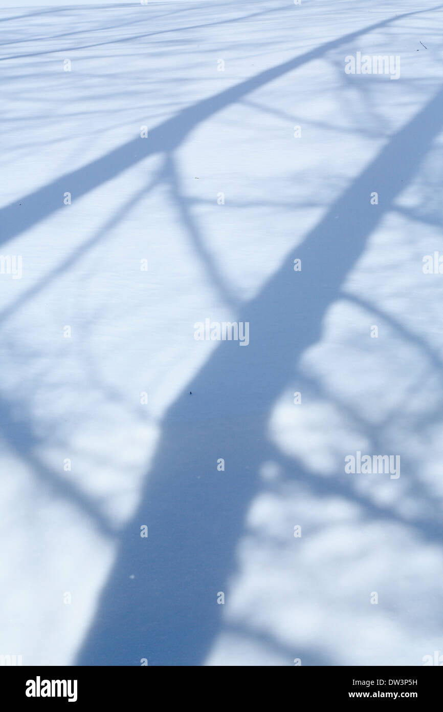 Shadows on snow hi-res stock photography and images - Alamy