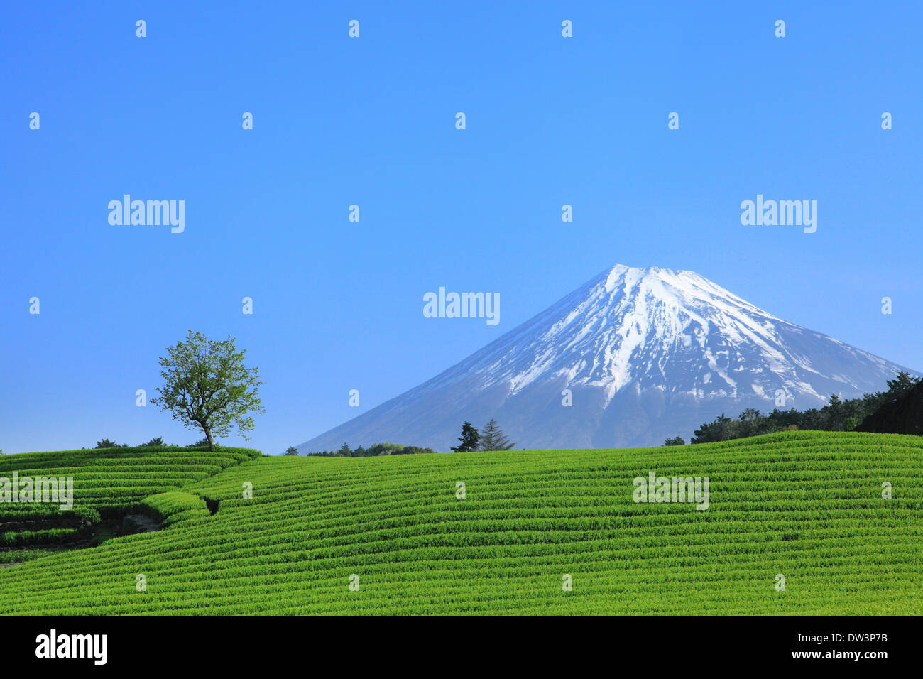 View of Mount Fuji Stock Photo - Alamy