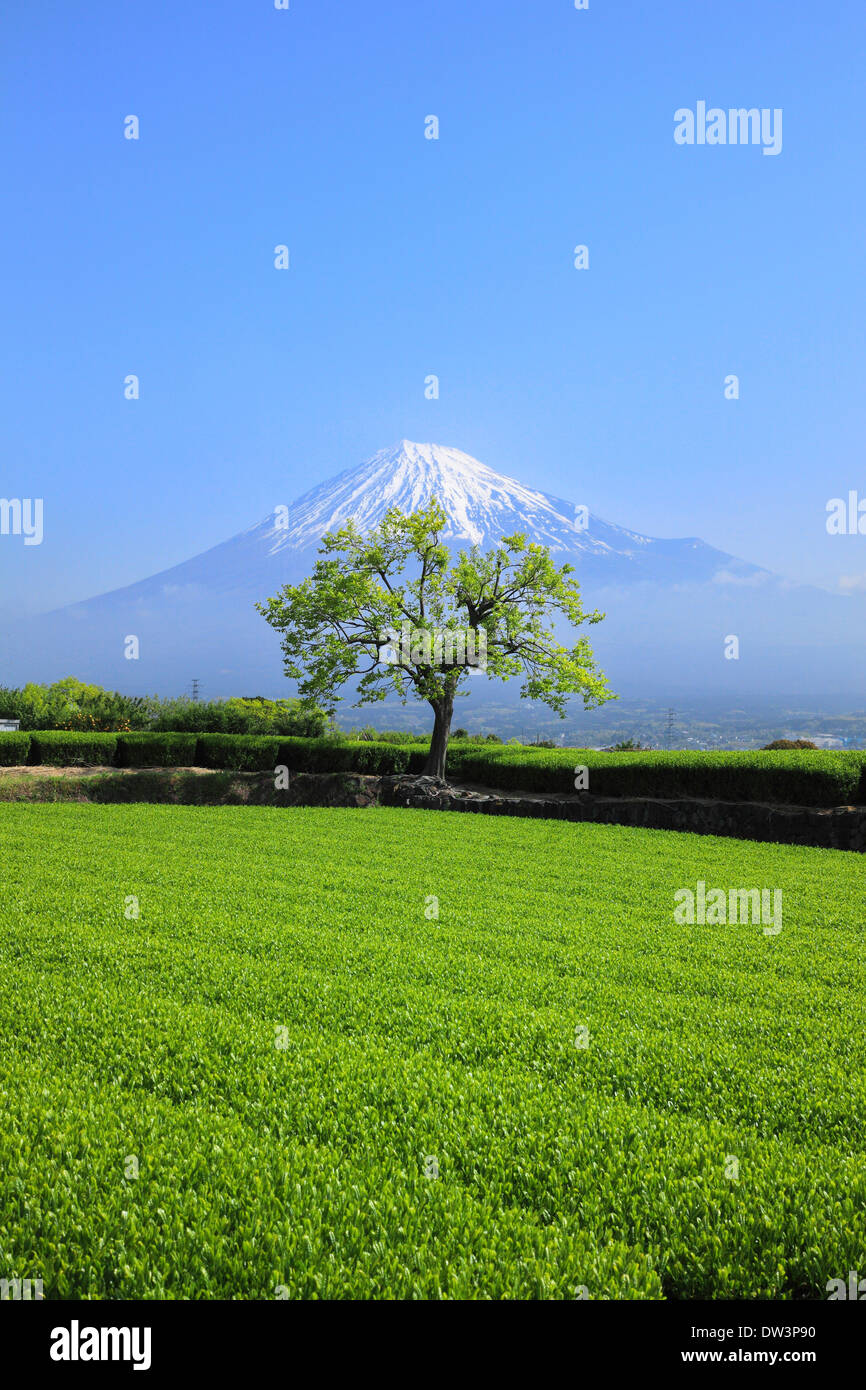 View of Mount Fuji Stock Photo - Alamy