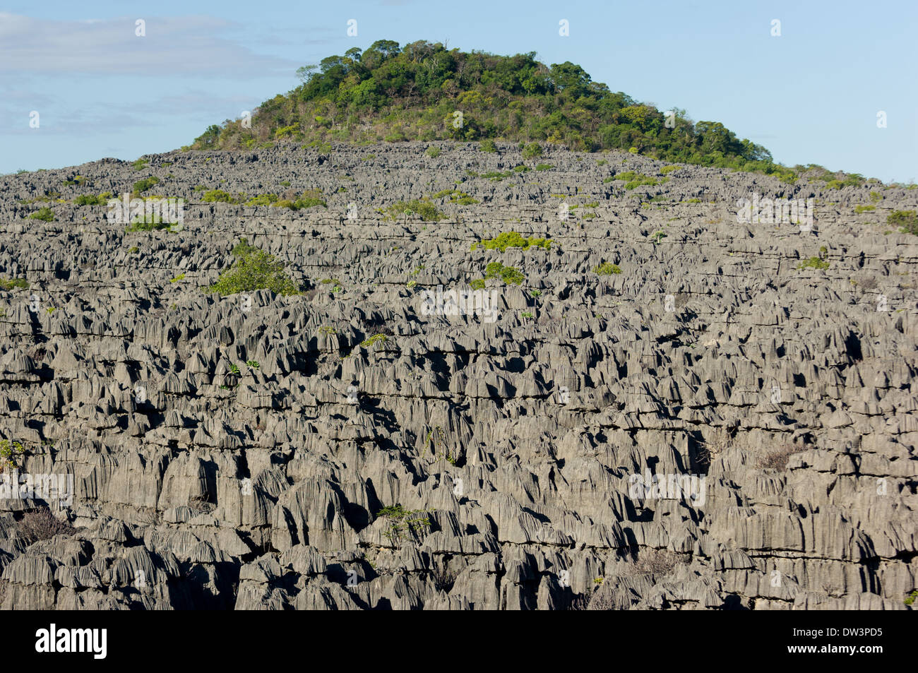 Tsingy eroded limestone formations at Ankarana Special Reserve near ...