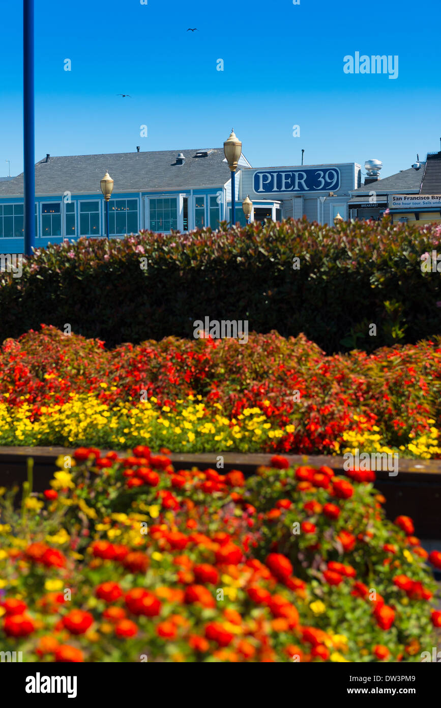 39 pier sign hi-res stock photography and images - Alamy
