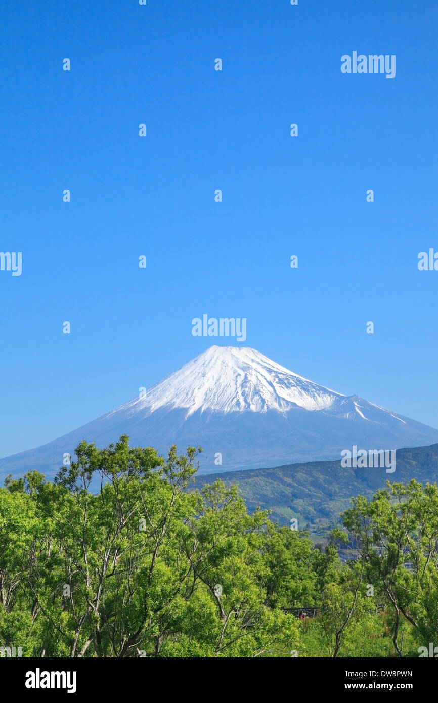 View of Mount Fuji Stock Photo - Alamy