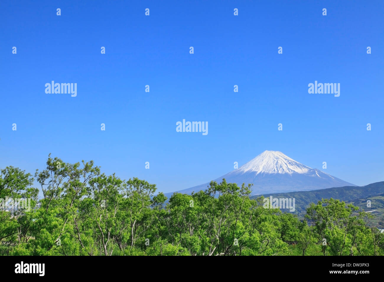 View of Mount Fuji Stock Photo - Alamy
