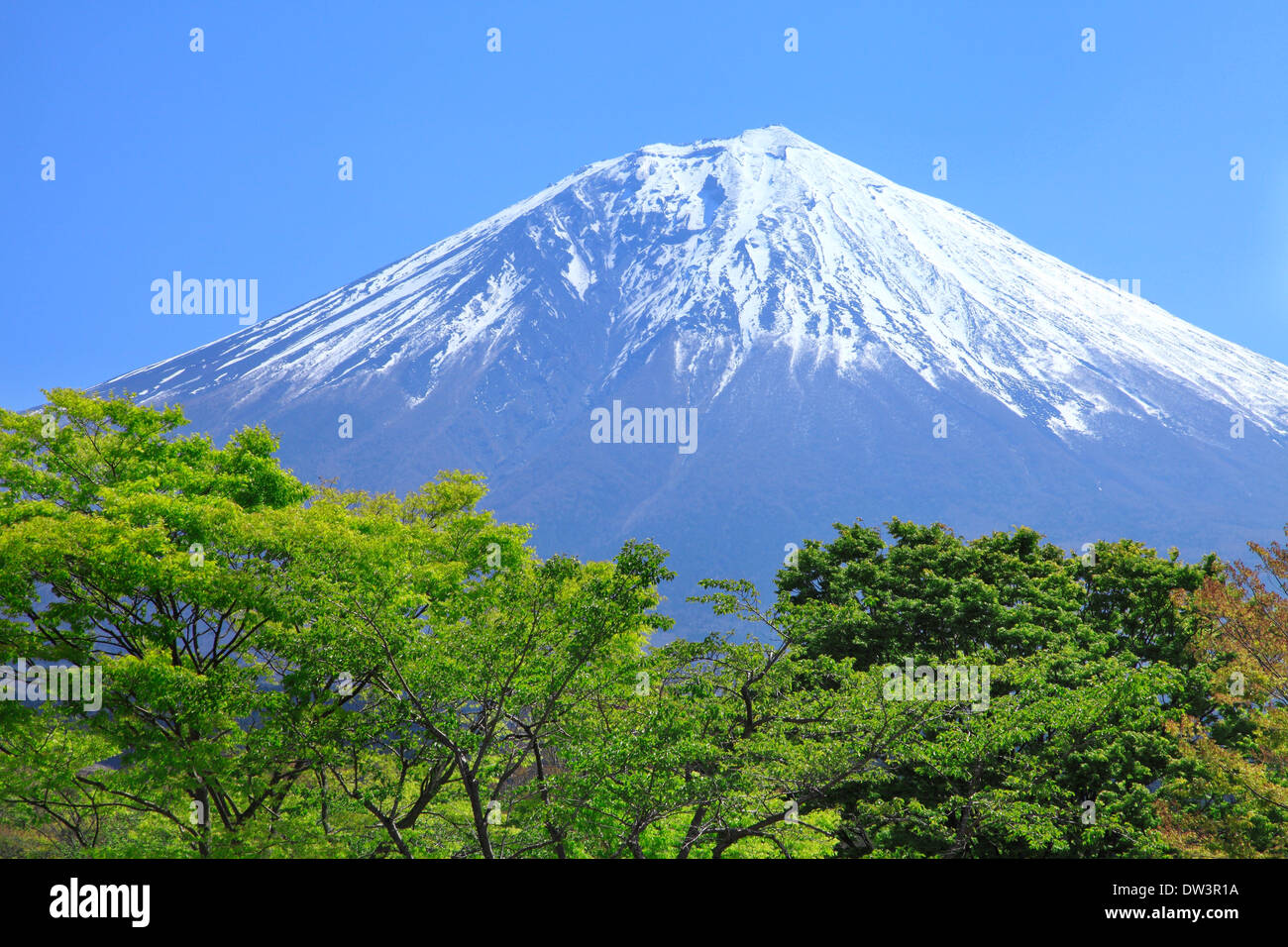View of Mount Fuji Stock Photo - Alamy