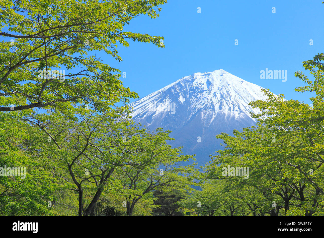 View of Mount Fuji Stock Photo - Alamy