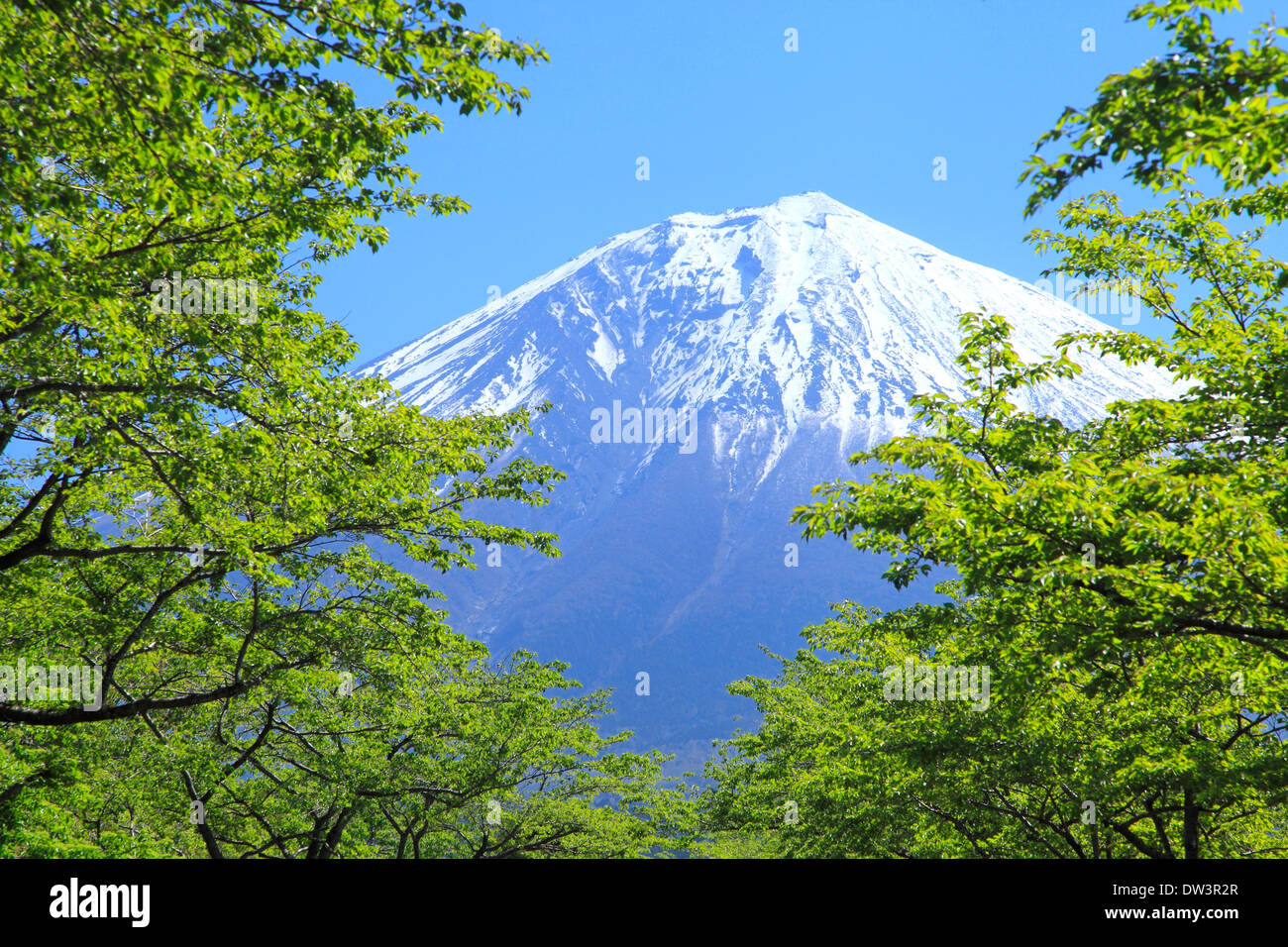 View of Mount Fuji Stock Photo - Alamy