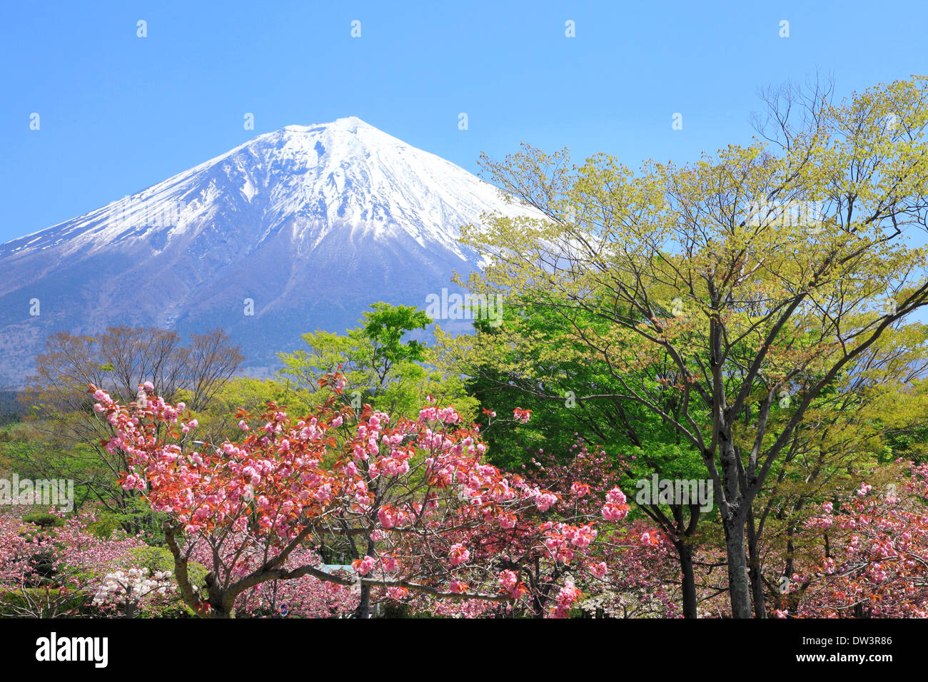 View of Mount Fuji Stock Photo - Alamy