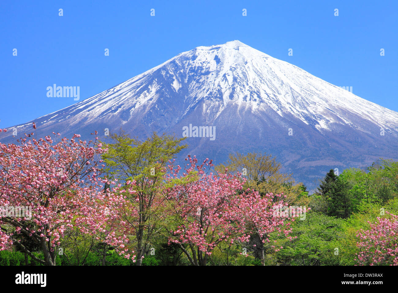 View of Mount Fuji Stock Photo - Alamy