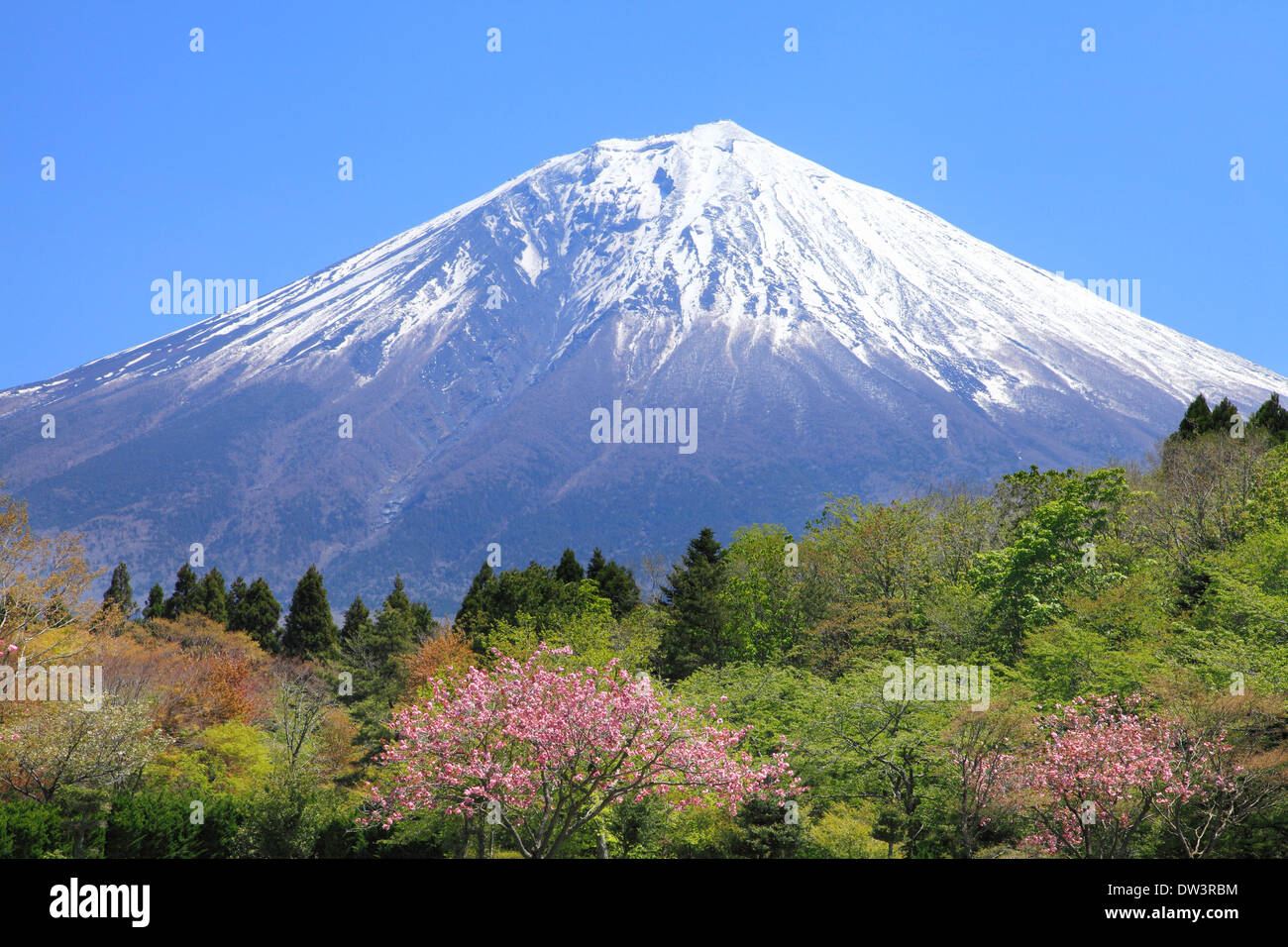 View of Mount Fuji Stock Photo - Alamy