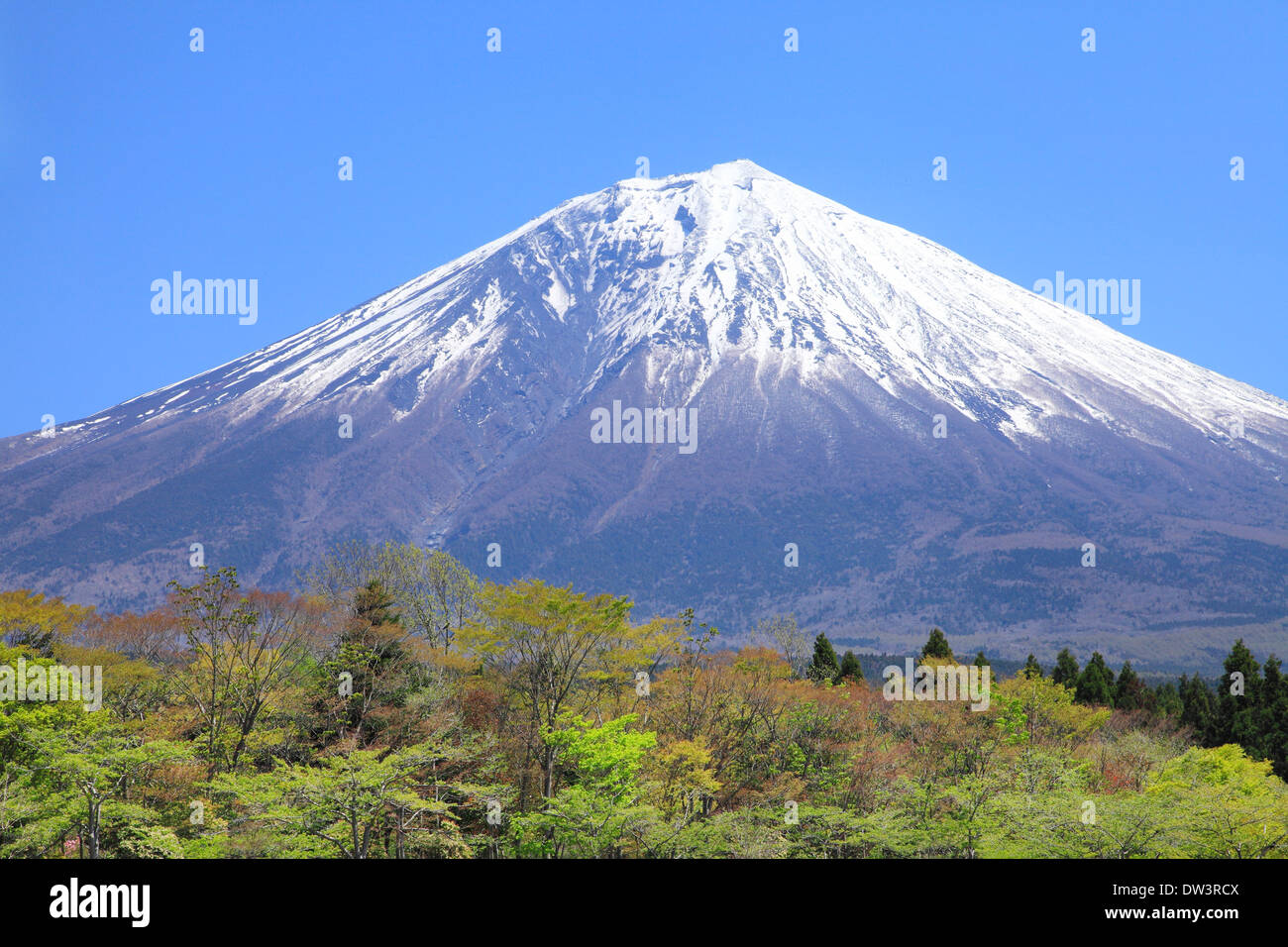 View of Mount Fuji Stock Photo - Alamy
