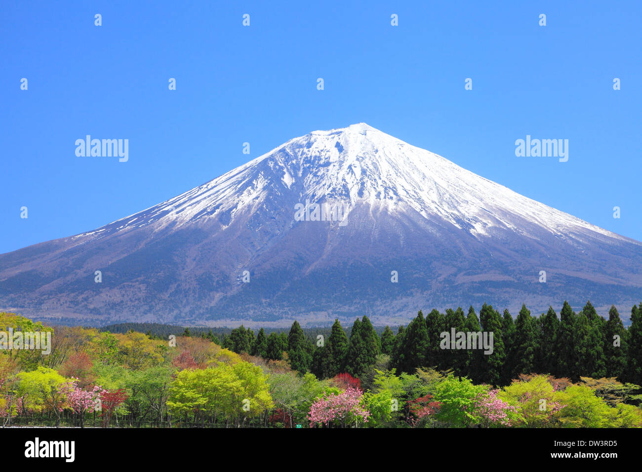 View of Mount Fuji Stock Photo - Alamy
