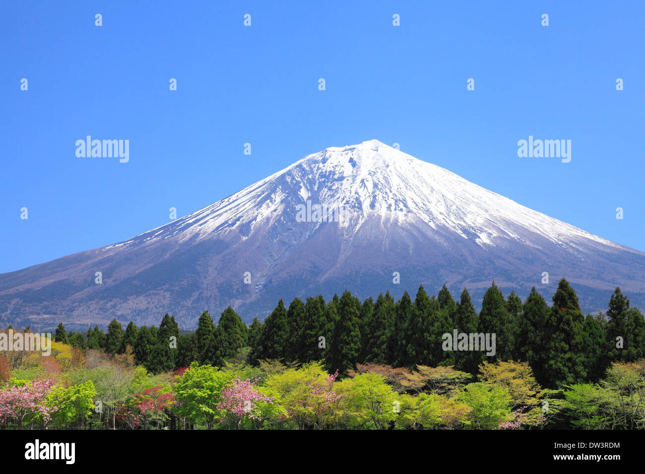 View of Mount Fuji Stock Photo - Alamy