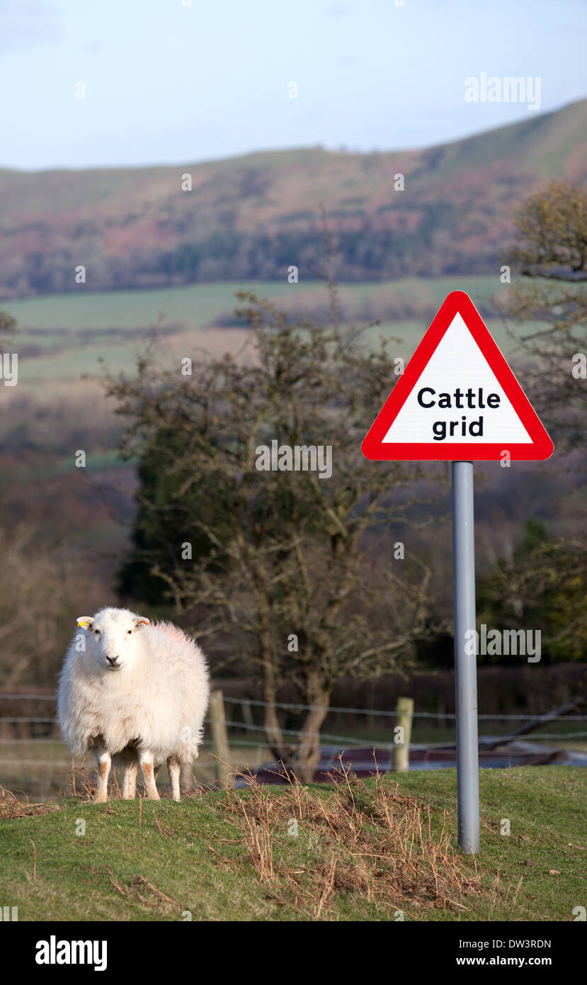 Uk Cattle Grids High Resolution Stock Photography and Images - Alamy