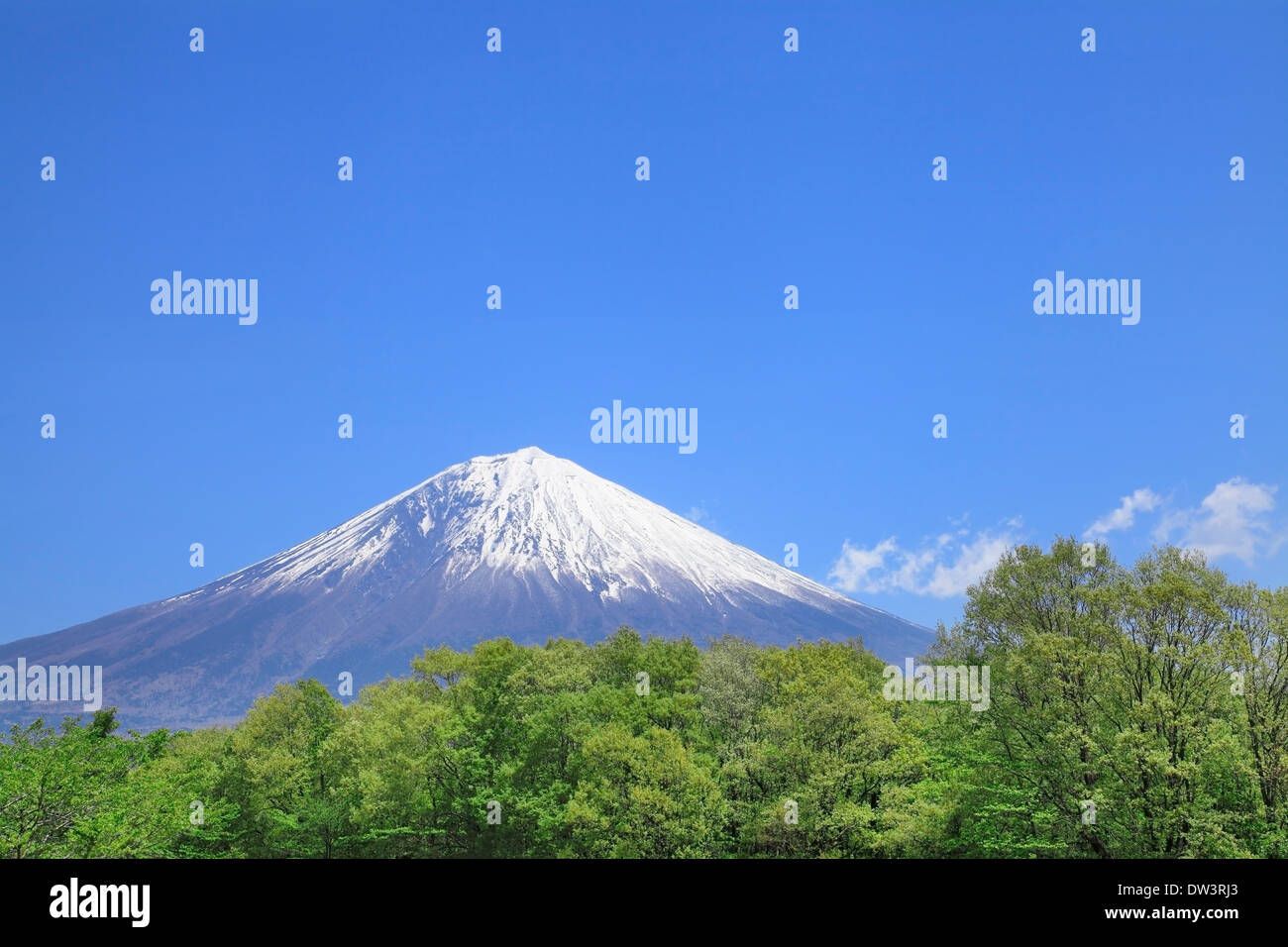 View of Mount Fuji Stock Photo - Alamy