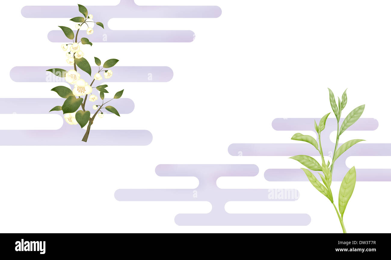 Tea leaves and flowers Stock Photo - Alamy