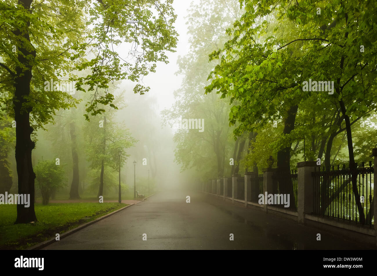 Beautiful misty dawn in spring hi-res stock photography and images - Alamy