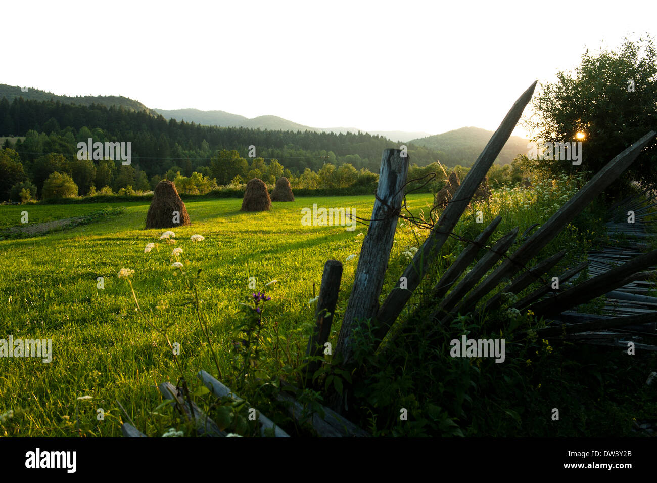 Landscape in Romania Stock Photo - Alamy