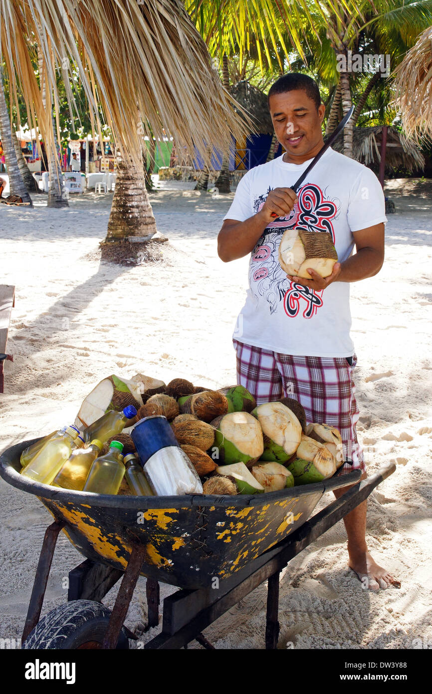 Man cutting a coconut on a Caribbean beach, Dominican Republic Stock ...
