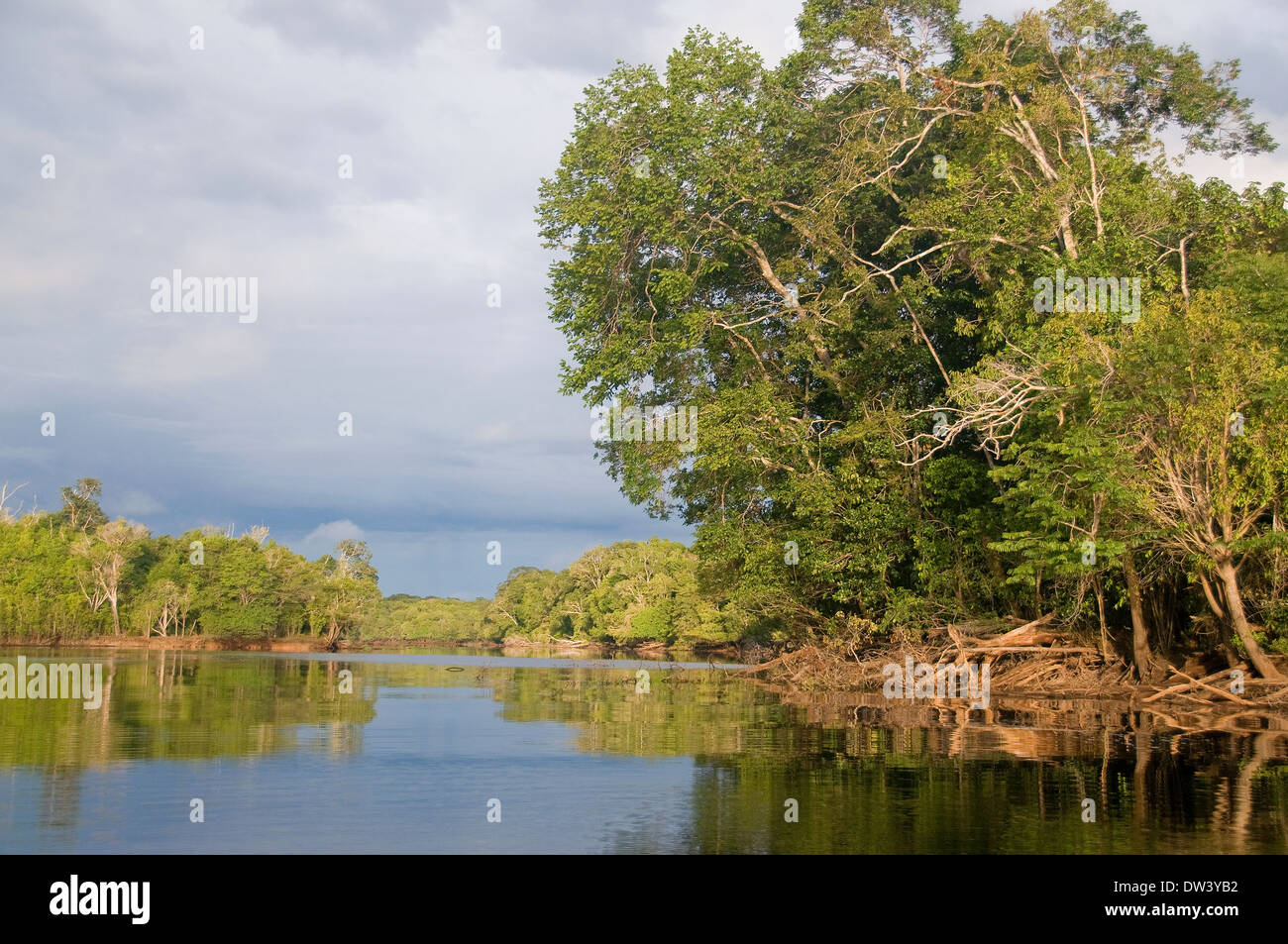 The beautiful habitat in the lagoons, sleughs and small tributaries off ...
