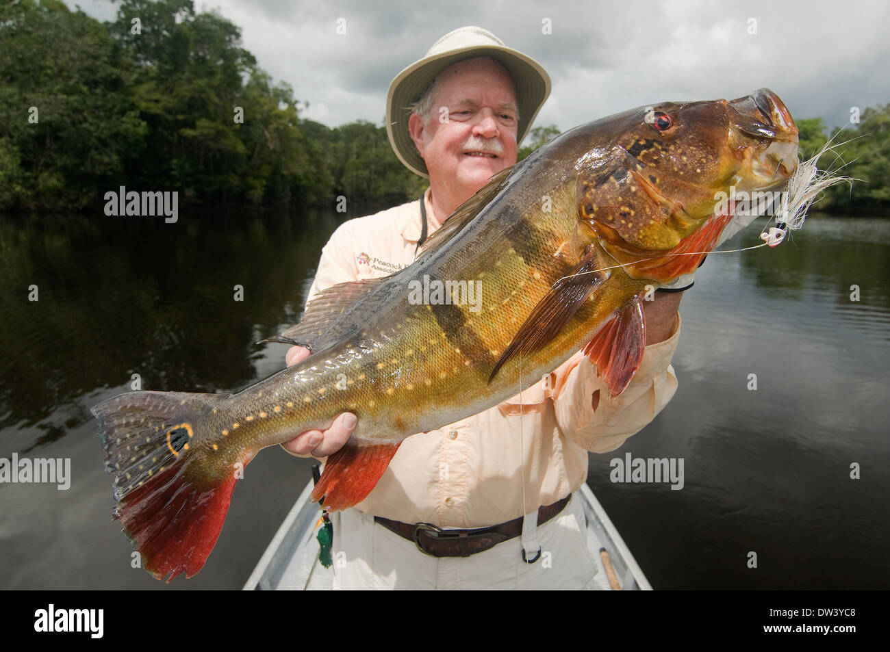 An angler admires a giant peacock bass caught on a white jig in one of ...