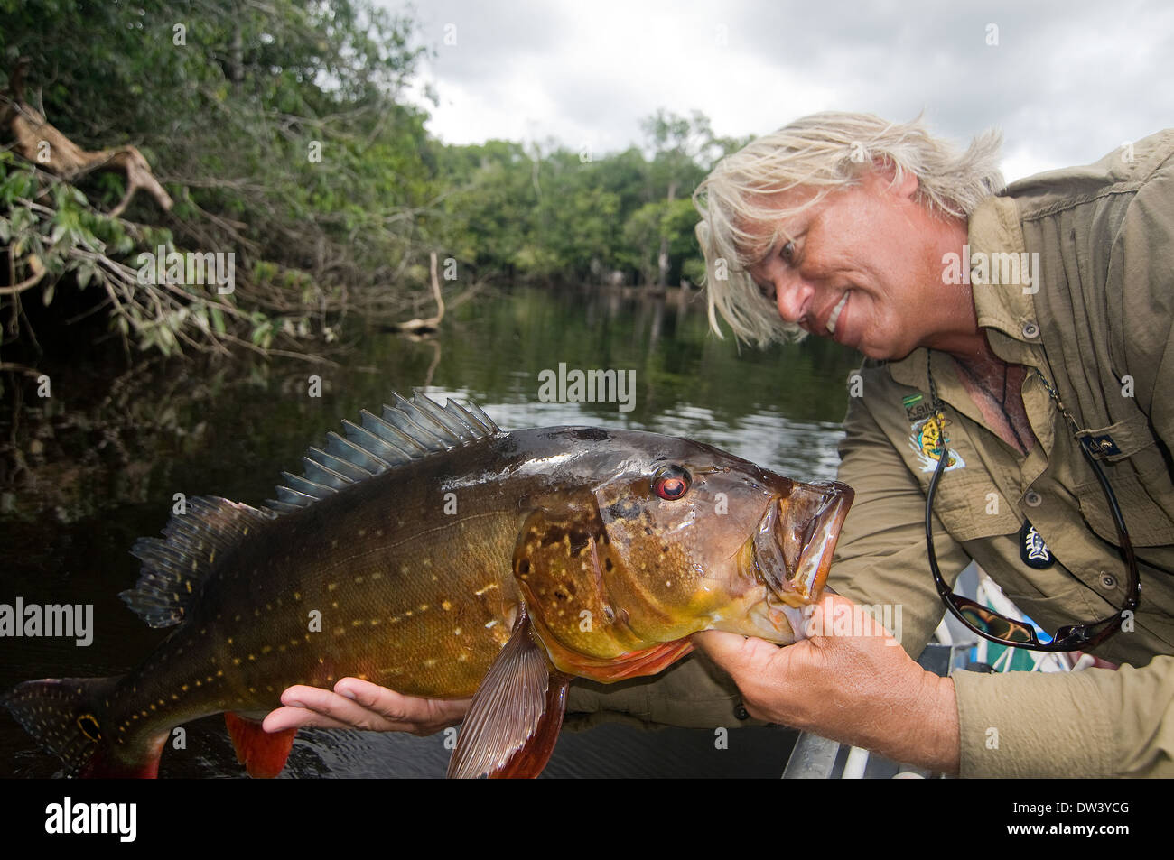 An angler releases a big peacock bass caught in one of the lagoons in ...