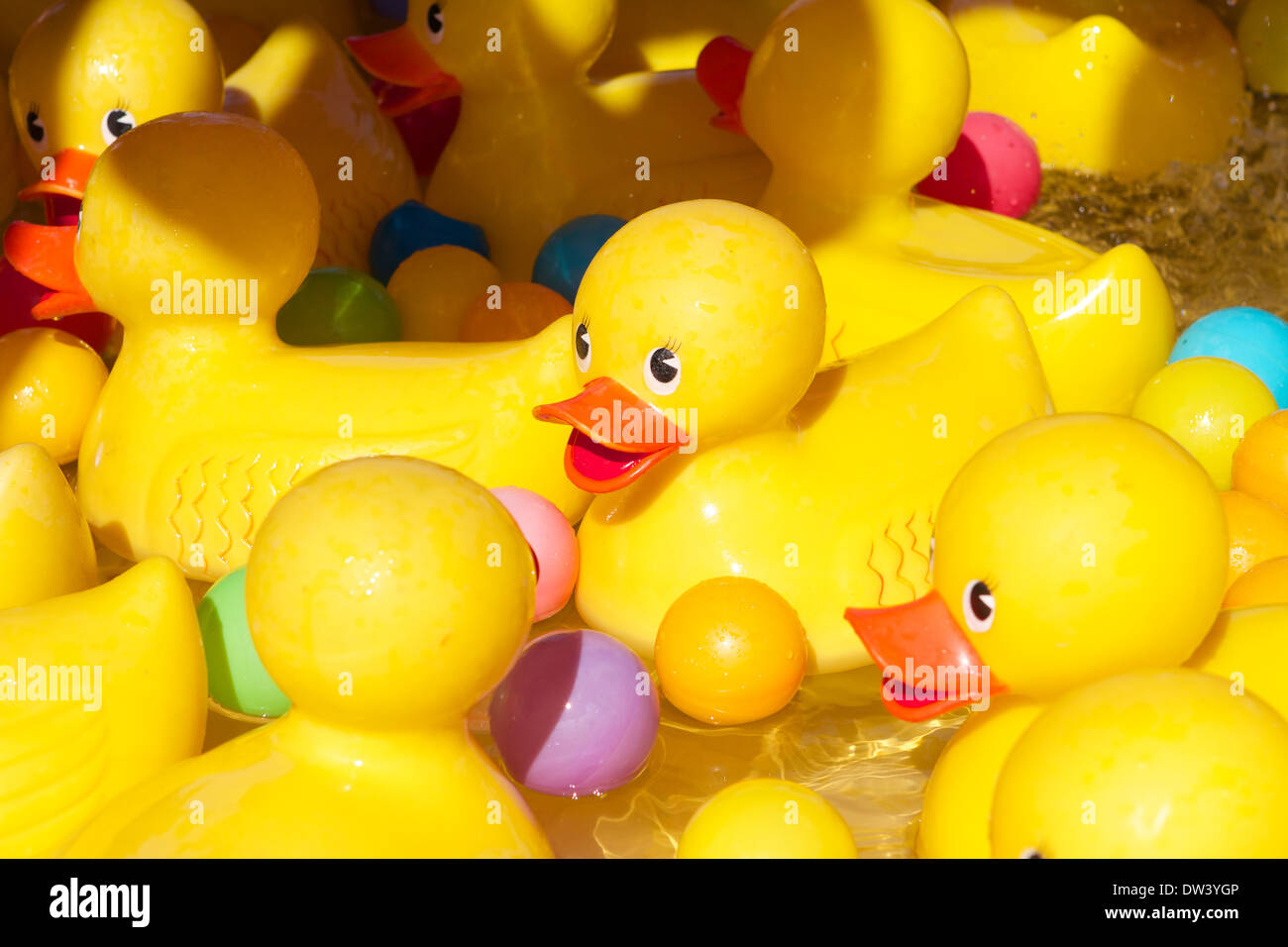 Plastic yellow ducks at a fun fair amusement stall Stock Photo - Alamy