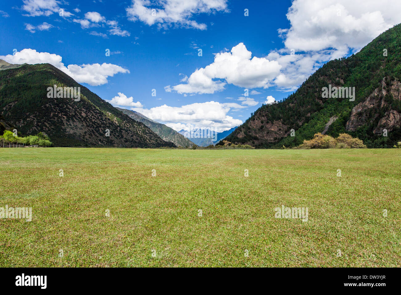 Green field and mountains in Tibet, China Stock Photo - Alamy