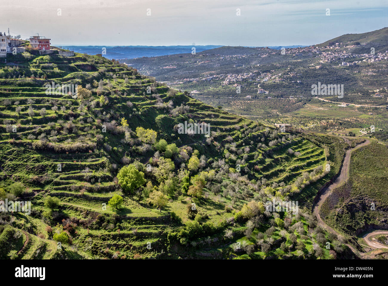 View of terraced olive groves from the medieval castle of Krak des ...